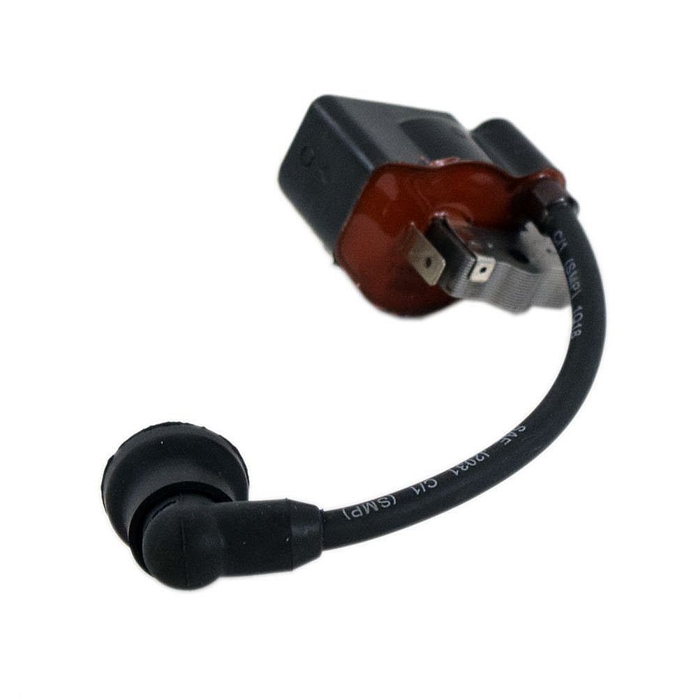 AYP Lawn & Garden Equipment Engine Ignition Module 501092801 parts ...