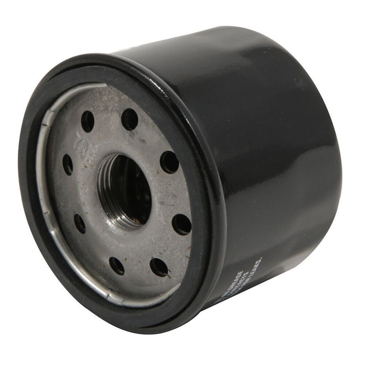 Lawn & Garden Equipment Engine Oil Filter (replaces 490-201-0010) 490 ...